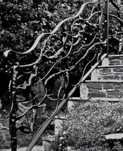 Home - Black Swan Forge